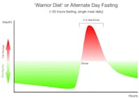 Guide to Time-Restricted Eating — Diet Doctor