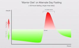 Short fasting regimens – less than 24 hours - Diet Doctor