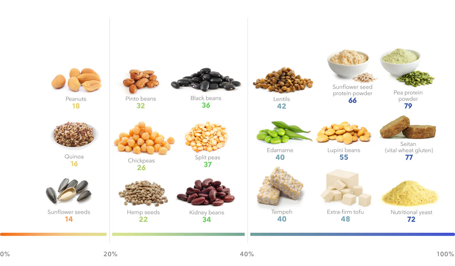 How and Why To Eat More Protein – Diet Doctor